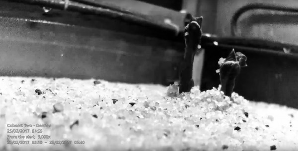 Move over Mark Watney... Scientists have found a way to grow potatoes ...